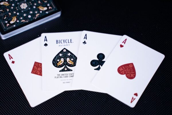 Bicycle Tiny Aviary | Tienda Magia&Cardistry