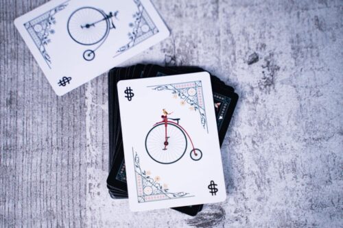 Bicycle Tiny Aviary | Tienda Magia&Cardistry