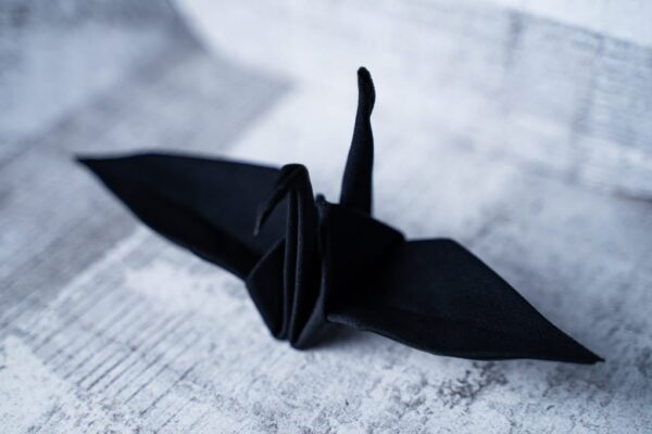 Origami mágico | Tienda Magia&Cardistry